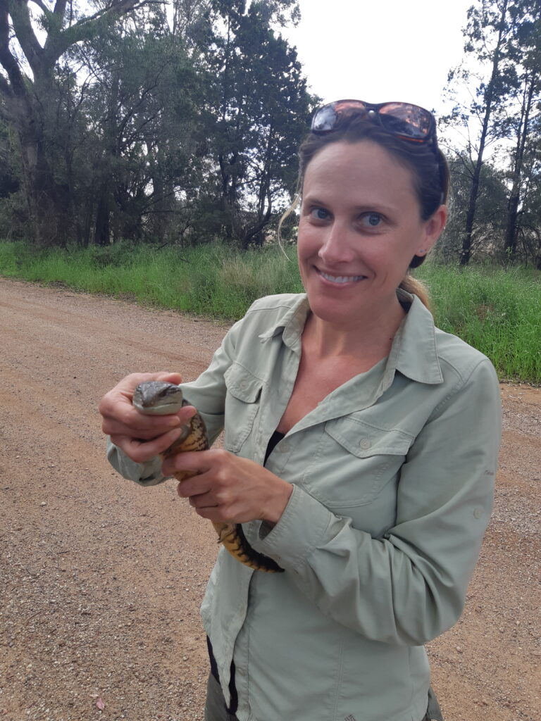 DR BELINDA WRIGHT, WIRES POSTDOCTORAL RESEARCH FELLOW - Koala Health Hub