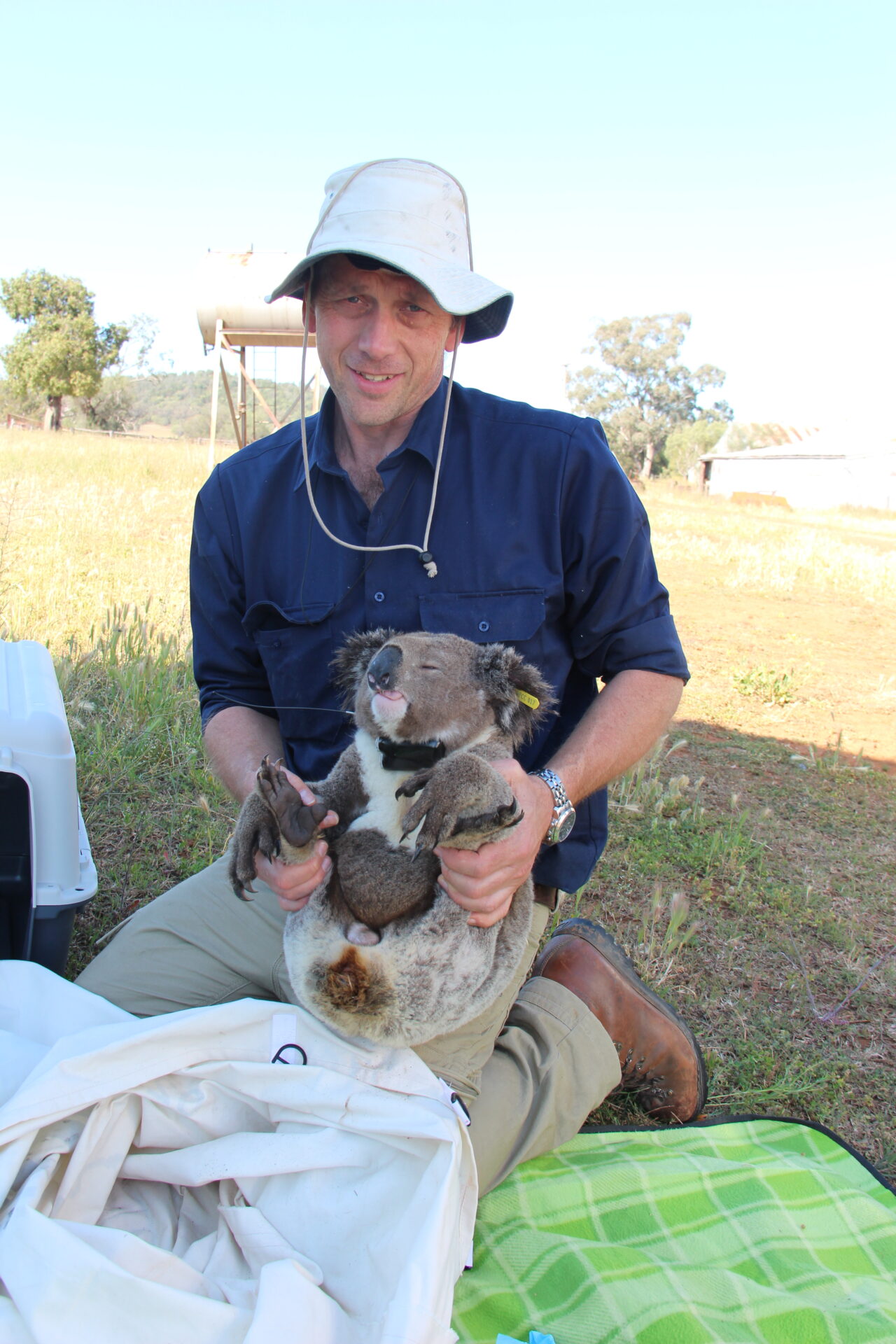 PROFESSOR MARK KROCKENBERGER - Koala Health Hub